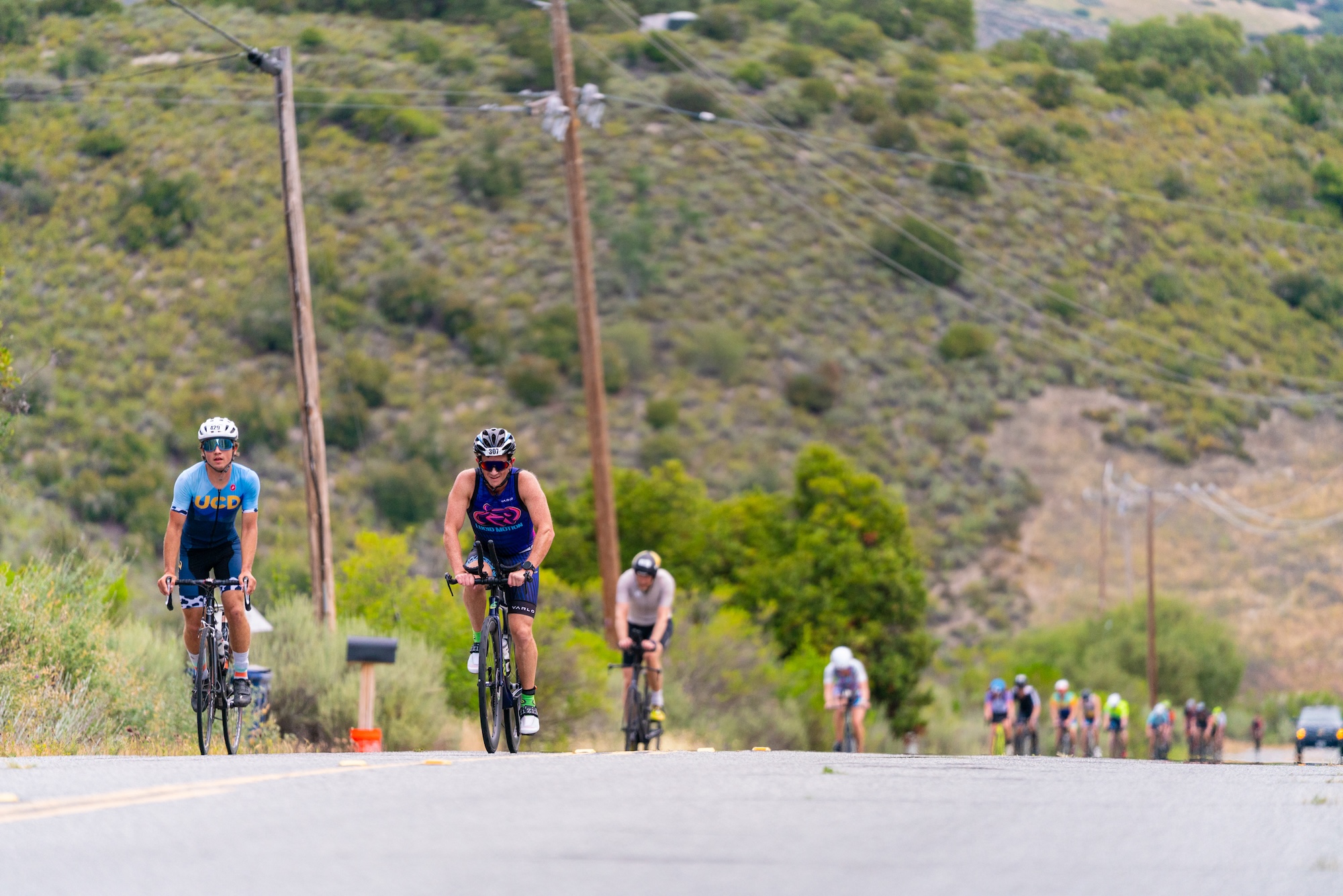 Wildflower Experience Announces New Partnership with Velocity